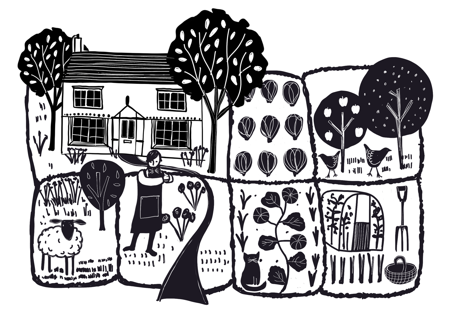 Sarah Callender Design – Website design and illustration